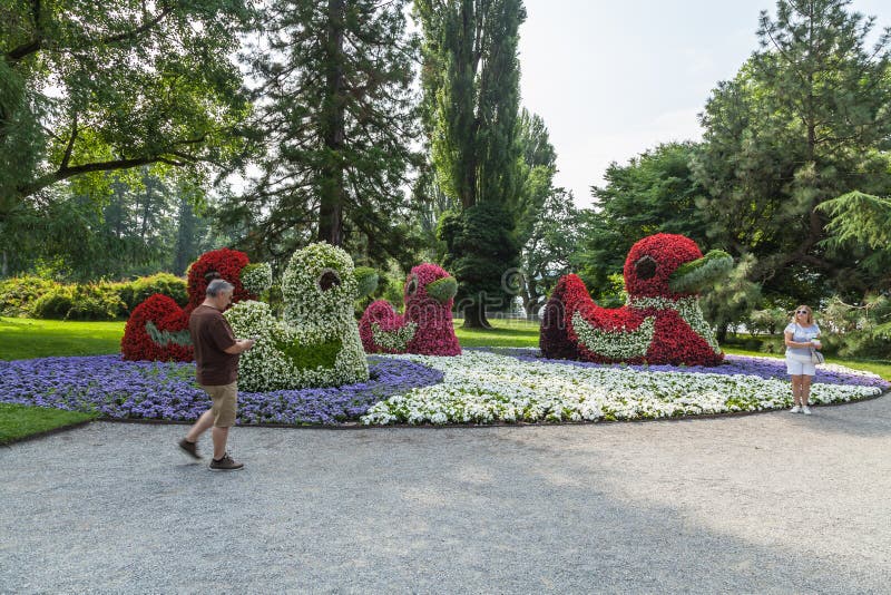 Floral Figures of Ducks on the Island of Mainau in Germany. Isle ...