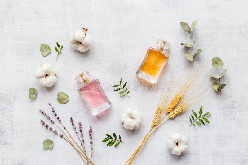 Perfume Bottle Flat Lay with Fragrance Ingredients, Top View Stock ...