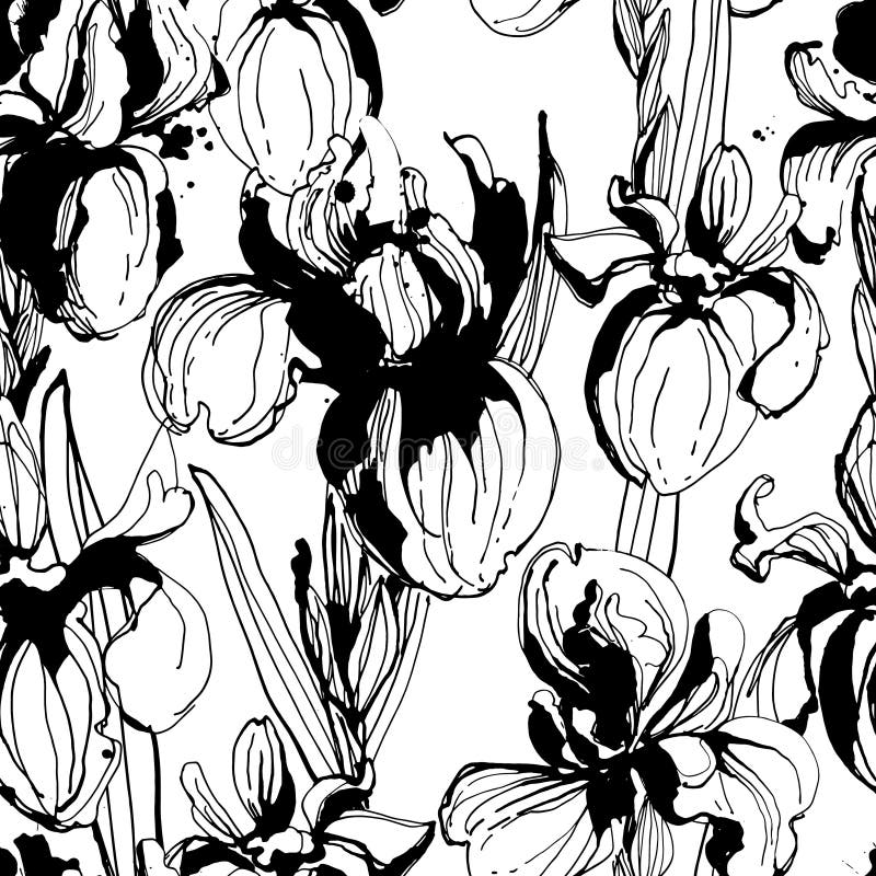 Floral Flower Iris Seamless Hand Drawn Pattern. Black and White Stock ...