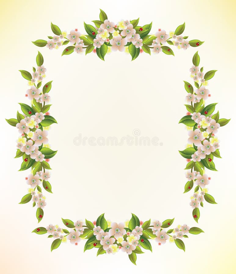 Pink Flowers - Apple, Cherry Blossom. Floral Frame. Watercolour Stock ...