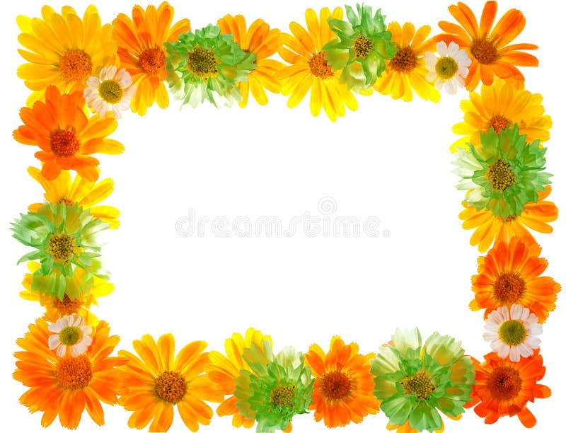 Floral Frame stock photo. Image of garden, bloom, bunch - 6991458