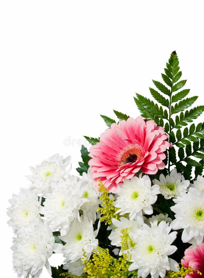 Floral frame stock image. Image of arrangement, isolated - 6469171