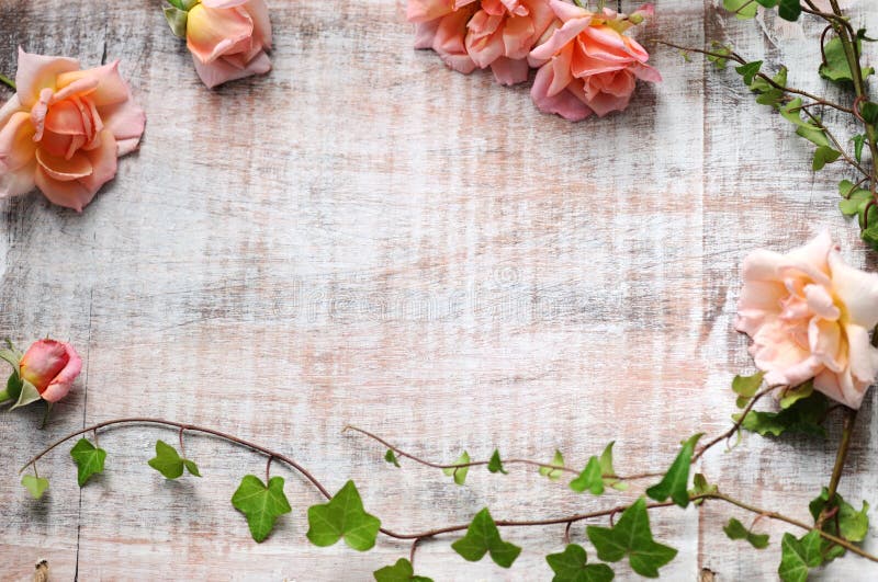 Floral Frame of Beautiful Roses Stock Image - Image of pink, floral ...