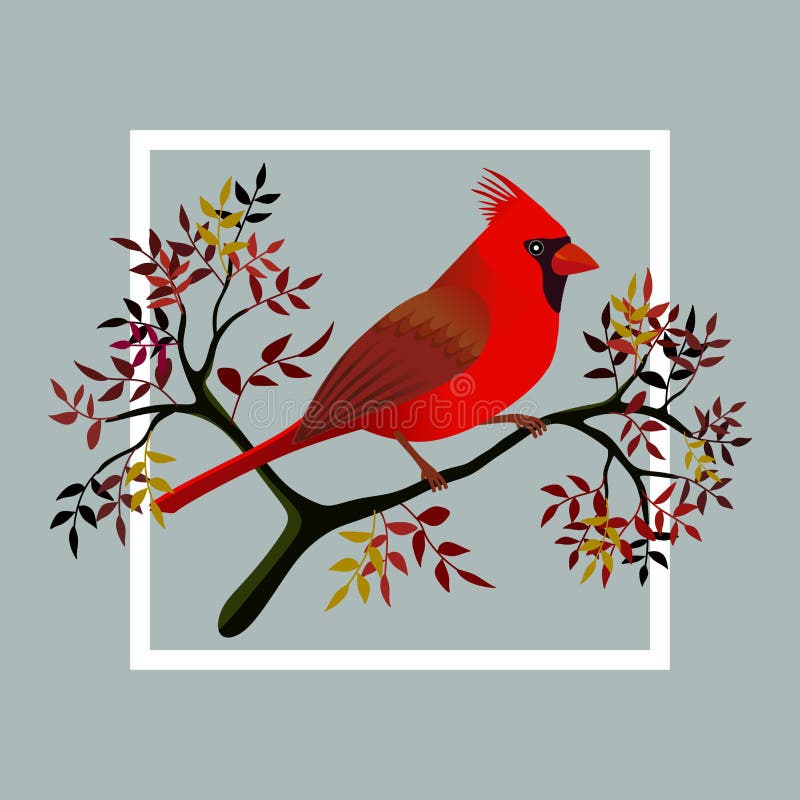 130+ Frame bird branch Free Stock Photos - StockFreeImages