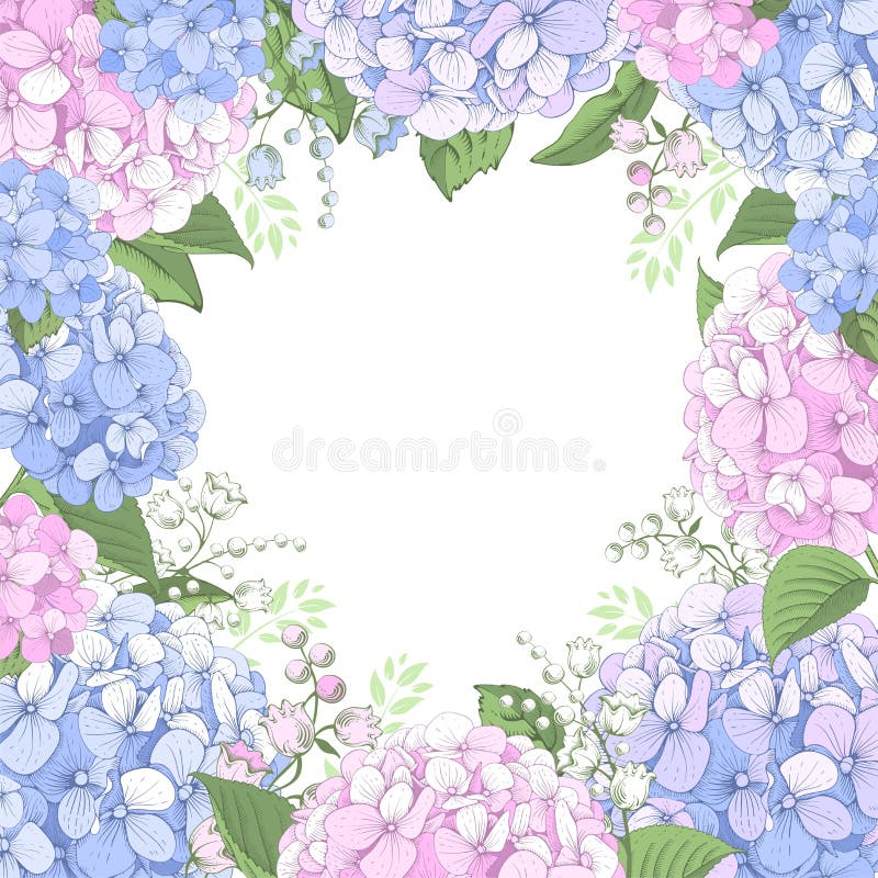 Floral Frame with Hydrangea Flowers Stock Vector - Illustration of ...