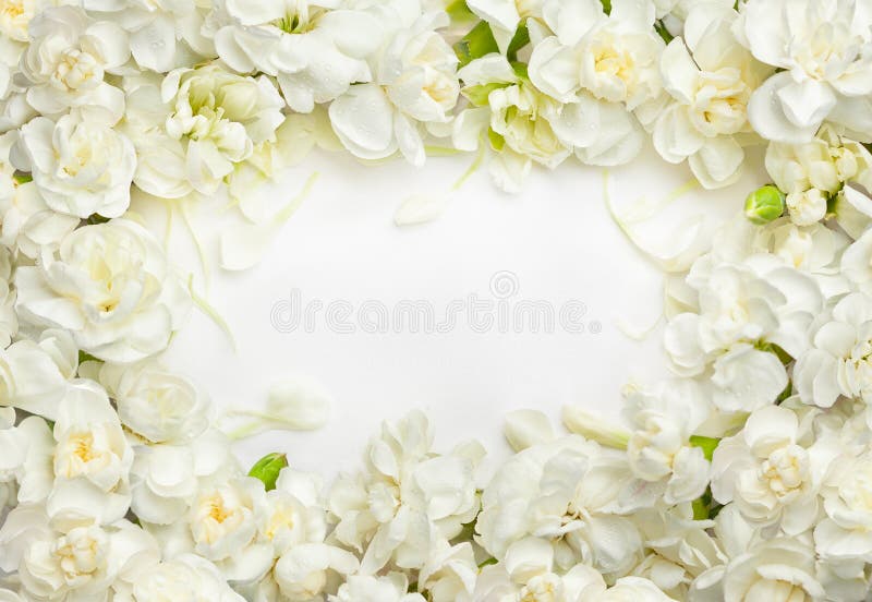 Top Border Memory Easter Flowers Stock Photos - Free & Royalty-Free ...