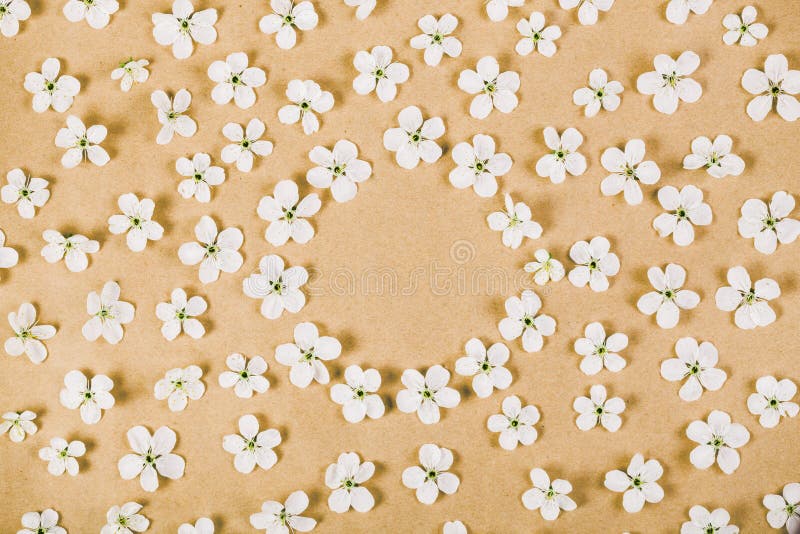 Floral Frame Made of White Spring Flowers on Brown Paper Background ...