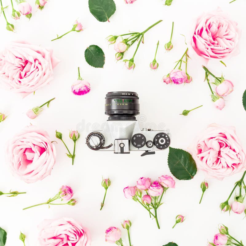 Floral Frame with Pink Roses and Old Retro Camera on White Background ...