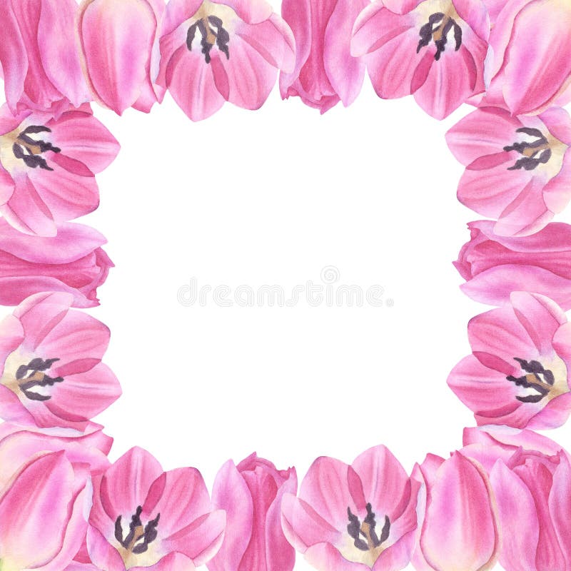 Floral Frame With Pink Tulips Hand Drawn Watercolor Botanical