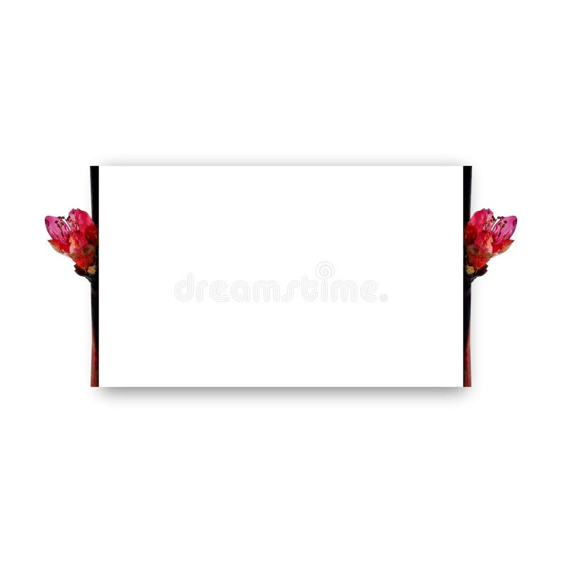 Floral Frame on a Rectangular Shape with Shadow Stock Image - Image of ...