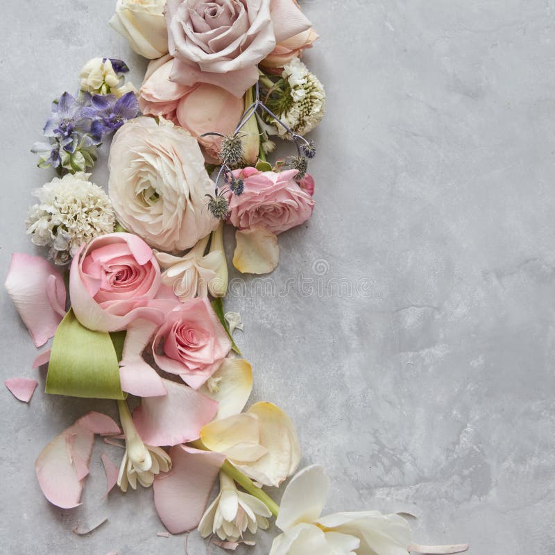 Floral frame with roses stock image. Image of bloom, gift - 86072557