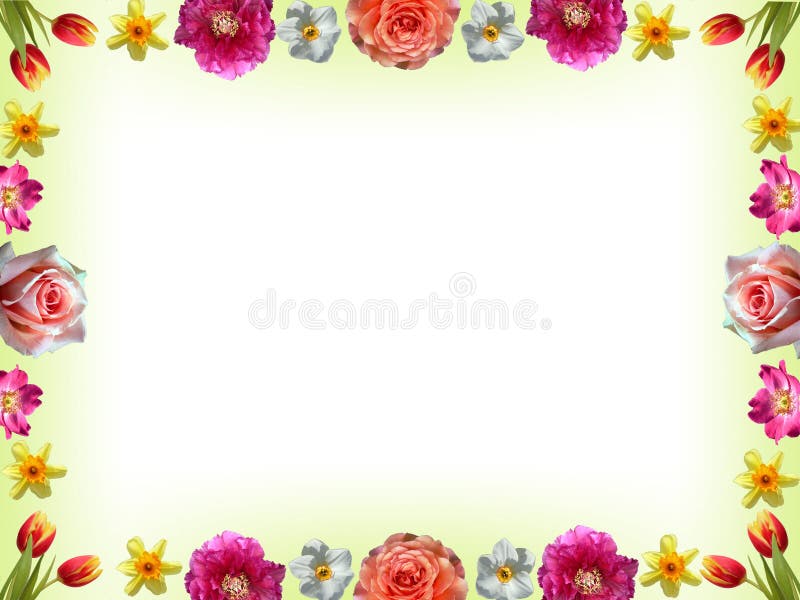 Floral Frame with Spring Flowers Stock Image - Image of tulips, frame ...
