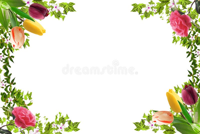 Floral frame, spring mood stock image. Image of season - 51474151