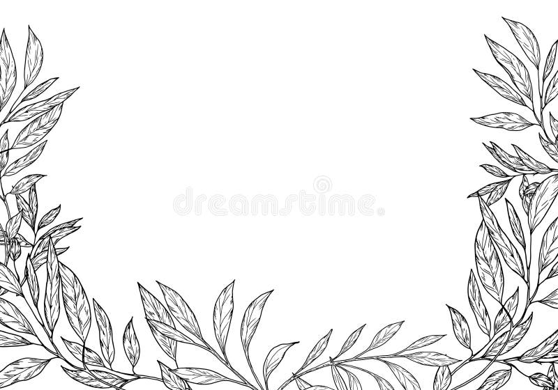 Illustration Certificate Template Floral Frame Stock Illustrations ...