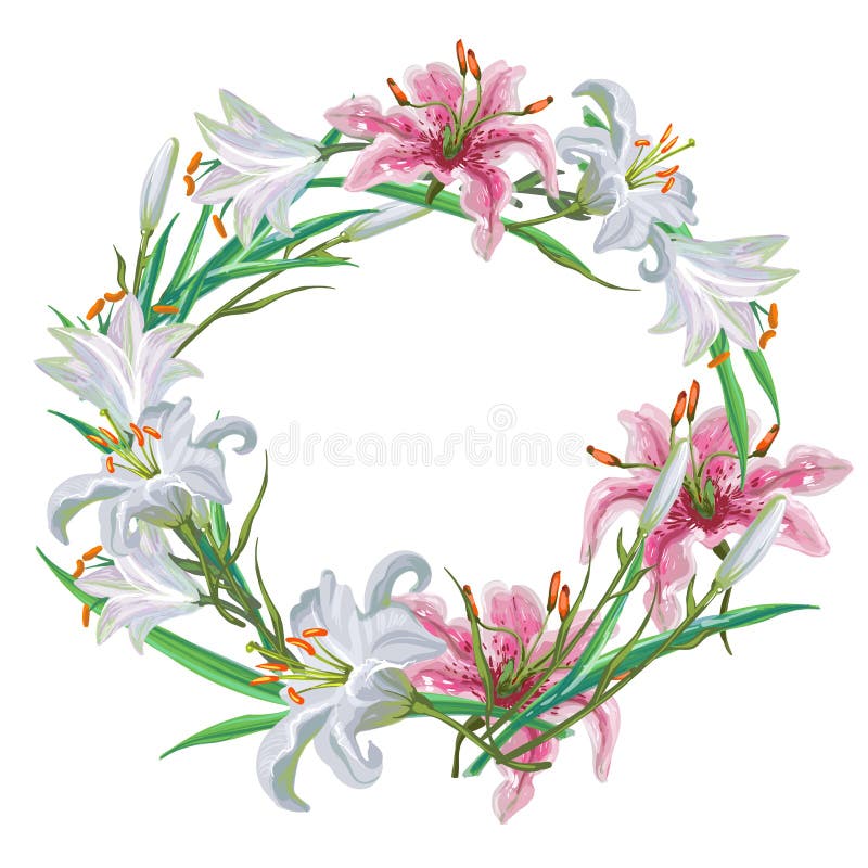 Floral Frame of White and Pink Lilies. Vector Illustration. Stock ...