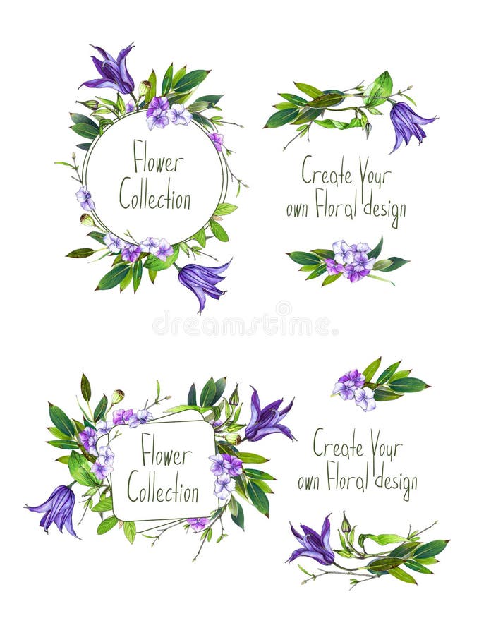 Floral Frames Set. Clematis Flower. Stock Illustration - Illustration ...