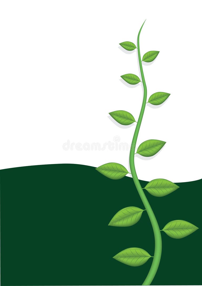 Floral Front Page Vector Stock Illustrations – 2,678 Floral Front Page ...