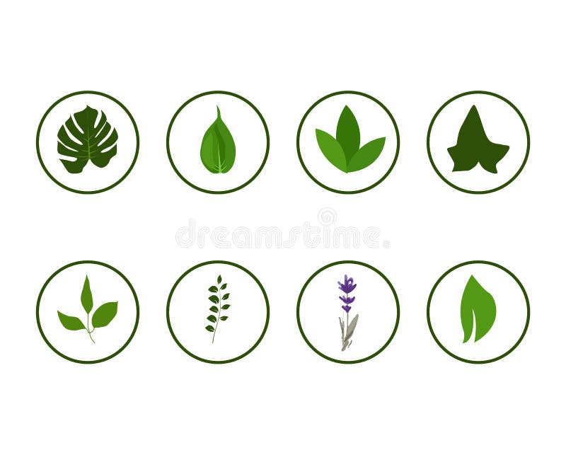 Greenery icons for spring stock vector. Illustration of greenery ...