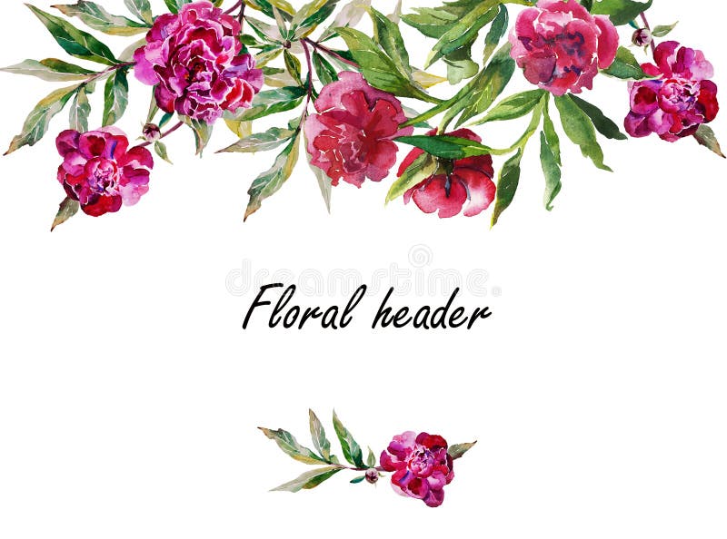 Floral Header Watercolor Peony Pattern Stock Illustration ...