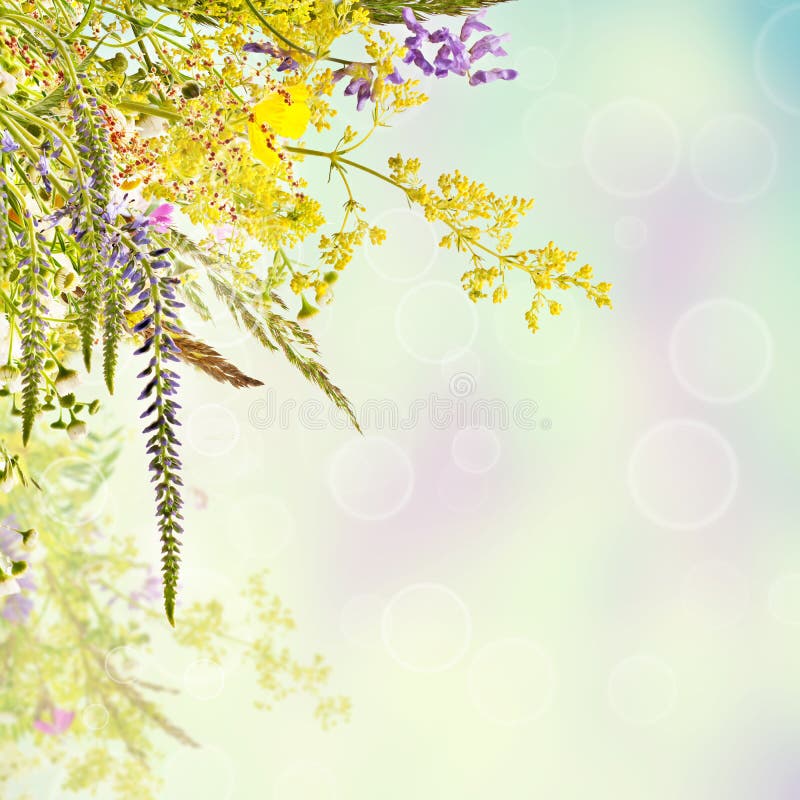 Floral holiday background stock image. Image of flora - 45948371