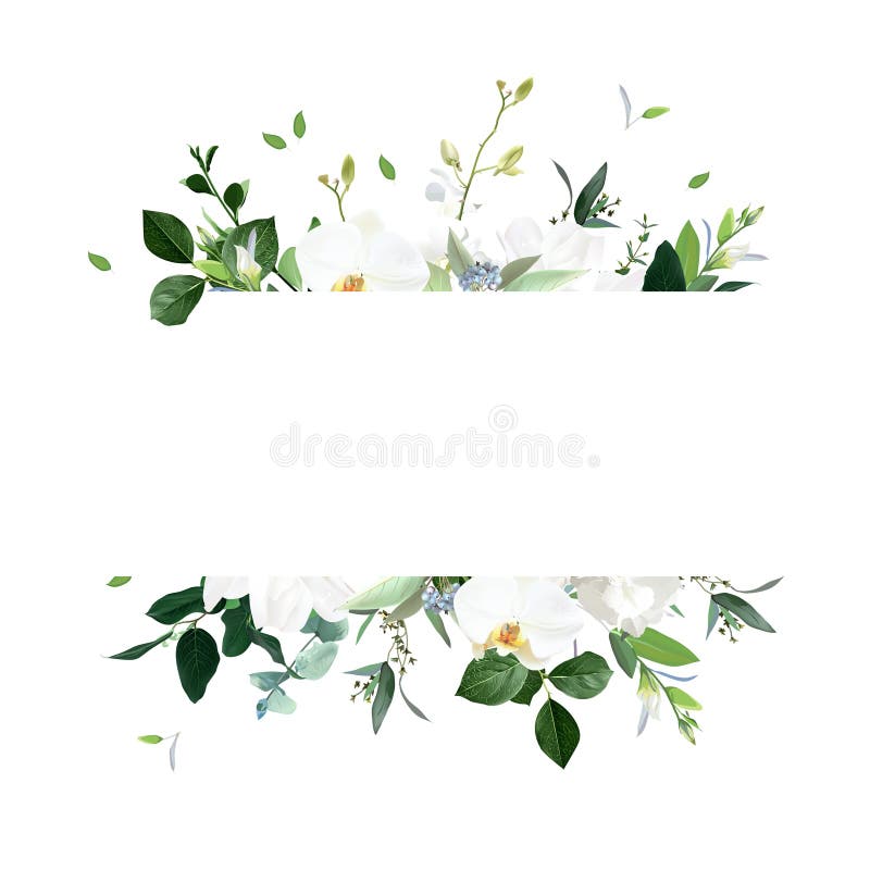 Floral Horizontal Vector Frame. Hand Painted Plants, Branches, Leaves ...