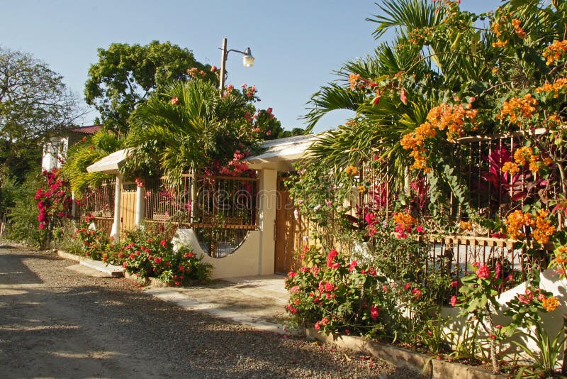 Floral House stock photo. Image of street, green, yellow - 29546256