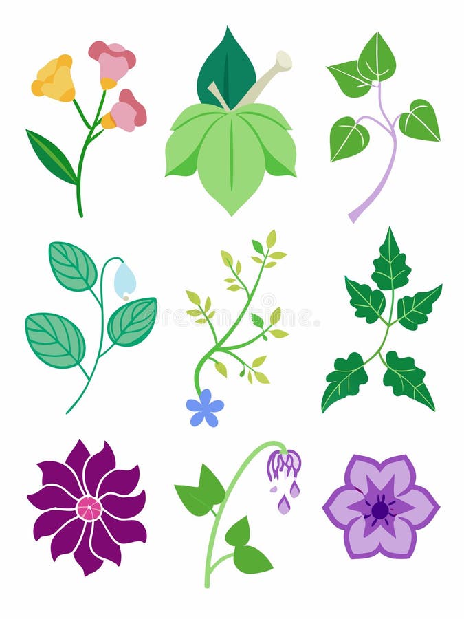 Floral Illustrations Set: Nine Unique Flower Designs Stock Vector ...