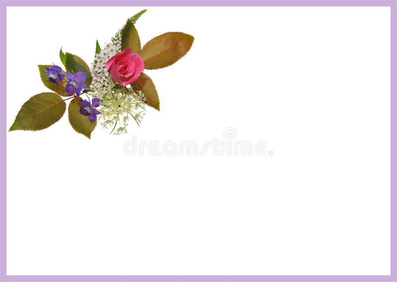 Floral invitation A3 A5 stock photo. Image of delphinium - 32469506