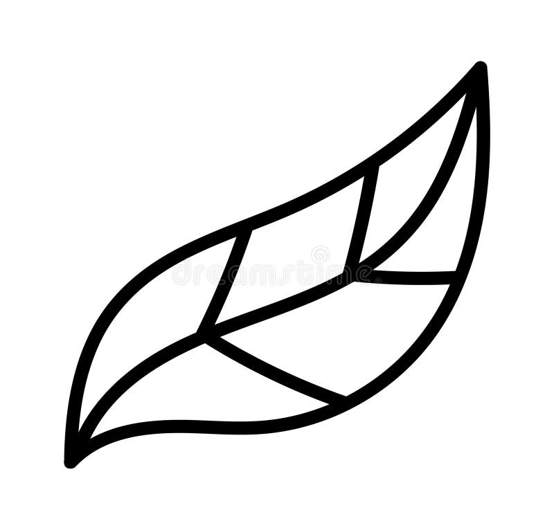 Floral Leaf Lined stock vector. Illustration of summer - 276147649