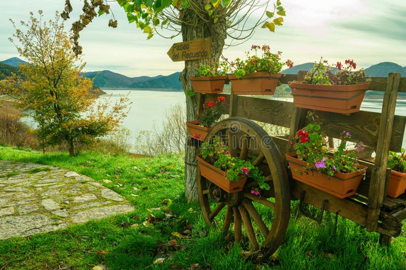 Floral Memory Lane by Riano Reservoir, Leon, with a Beautiful Display ...