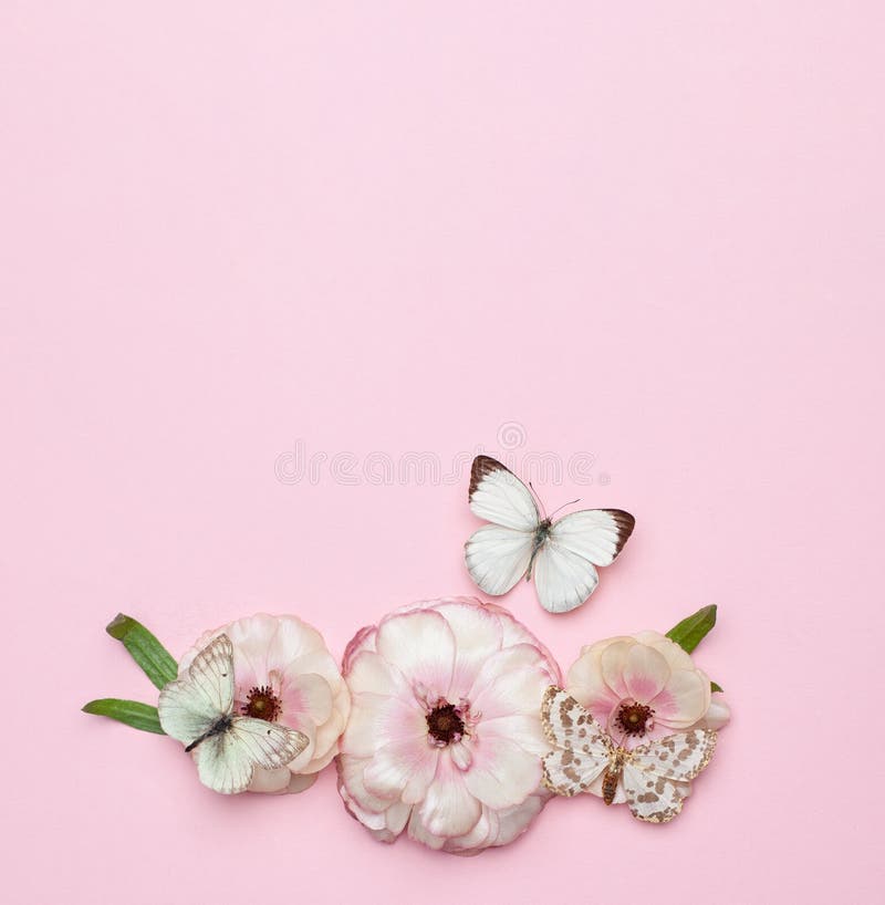 Floral Minimal Spring Card Border Composition on Pink Background Stock ...