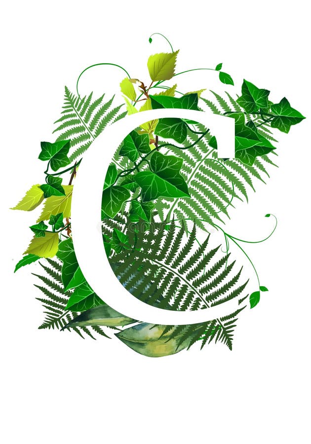 Floral Monogram Letter - Decorated with Watercolor Leaves Stock ...