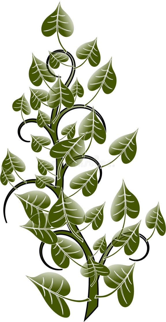 Floral ornament stock illustration. Illustration of environment - 23283475