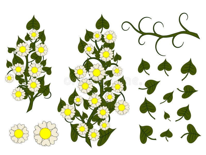 Floral ornament stock illustration. Illustration of environment - 23283475