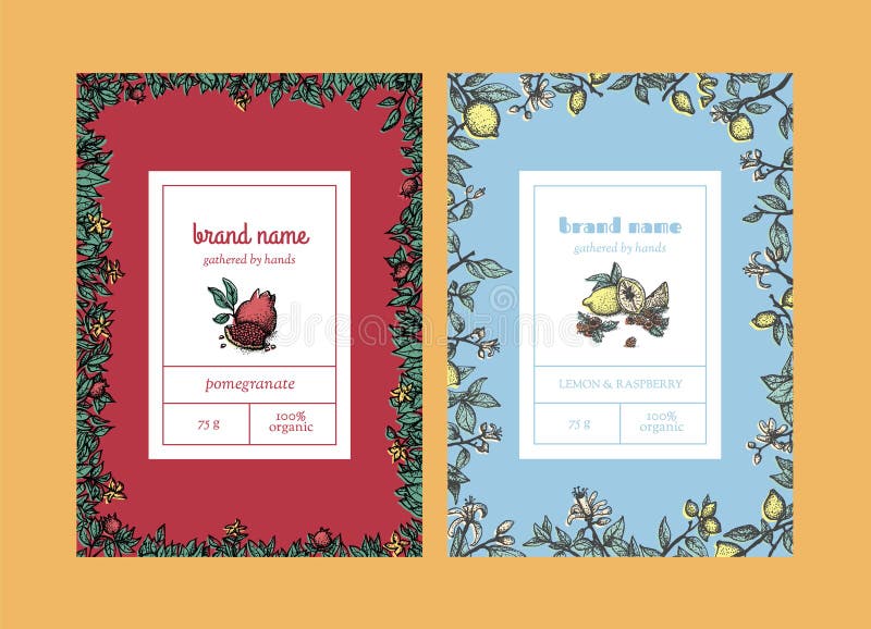 Floral Packaging Templates with Frame Design in Color Stock Vector ...