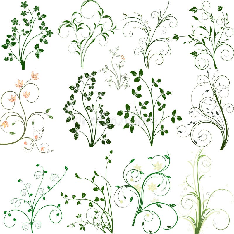 Set of Floral Elements Vector Stock Vector - Illustration of swirl ...