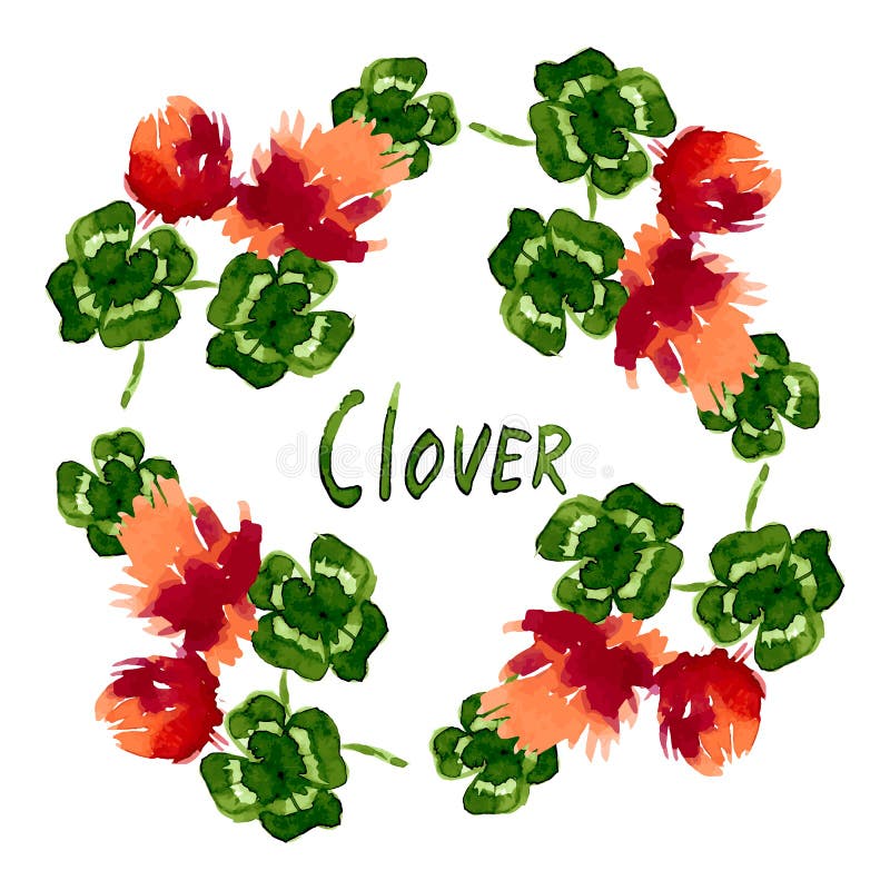 Floral Pattern Clover Flowers Stock Illustration - Illustration of lawn ...