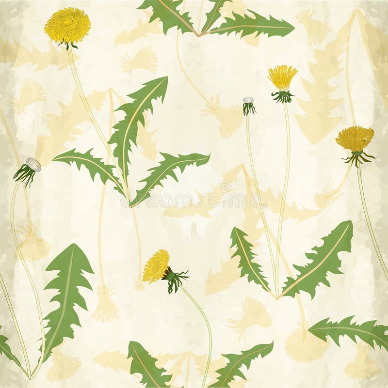 Floral Pattern with Dandelions Stock Vector - Illustration of botanical ...