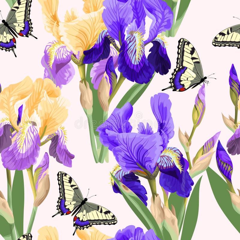 Floral Pattern with Iris Flowers Stock Vector - Illustration of design ...