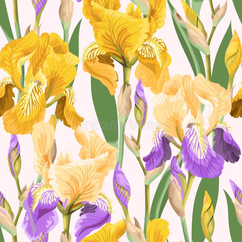 Floral Pattern with Iris Flowers Stock Vector - Illustration of foliage ...