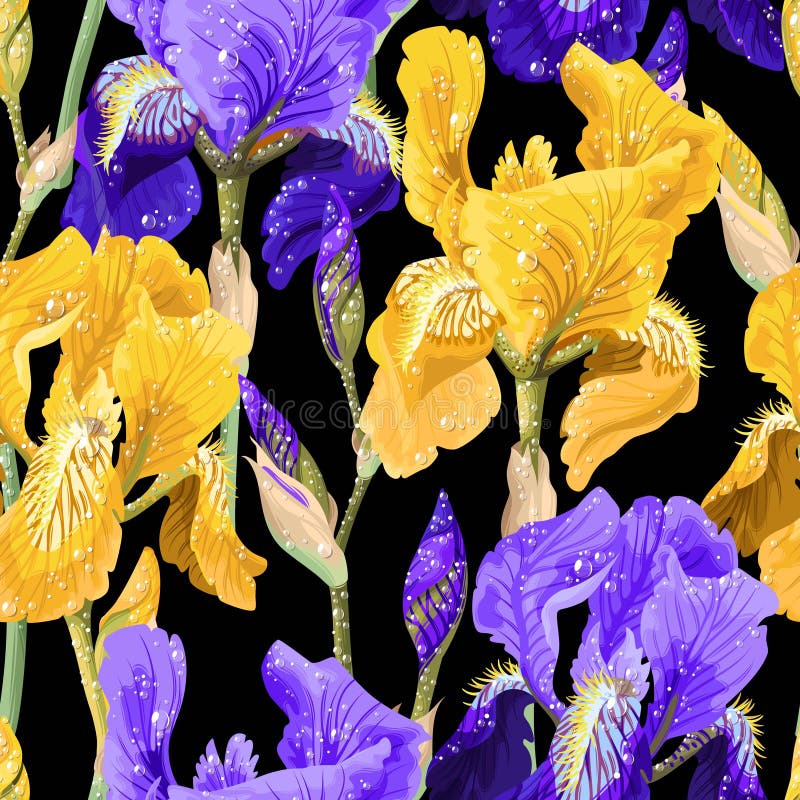 Floral Pattern with Iris Flowers Stock Vector - Illustration of droplet ...
