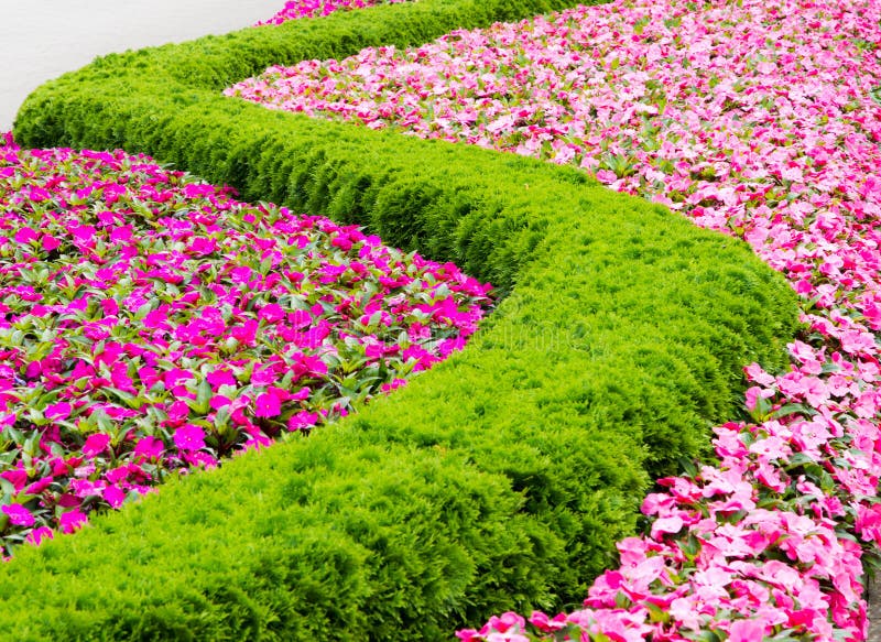 Floral pattern in a park stock photo. Image of pattern - 60046800