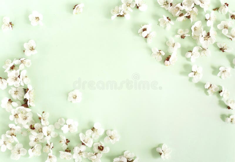Floral Pattern of a Spring Flowers on a Pale Mint Background Stock ...