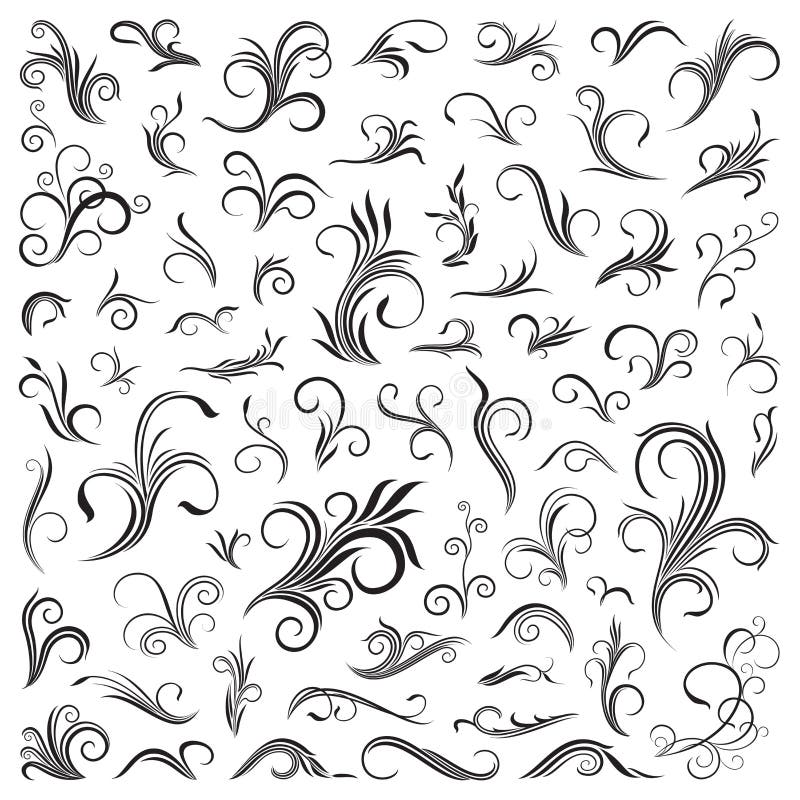 Floral Patterns and Elements Stock Vector - Illustration of background ...