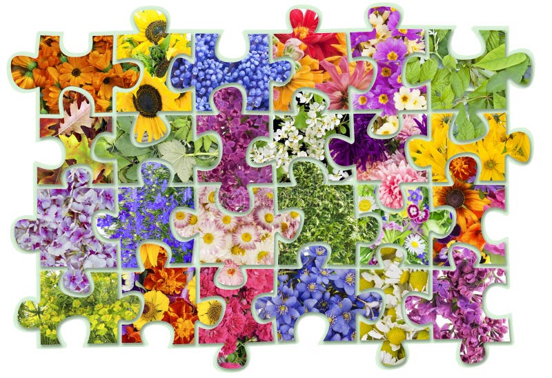 Flowers Puzzle Pieces Stock Illustrations – 36 Flowers Puzzle Pieces ...