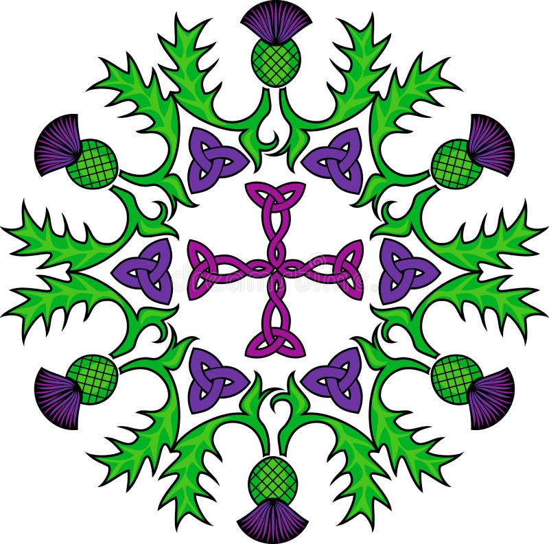 Scottish thistle stock vector. Illustration of thorn - 27937694