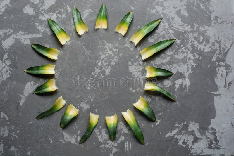 Floral Round Frame on Concrete Background Top View. Stock Photo - Image ...