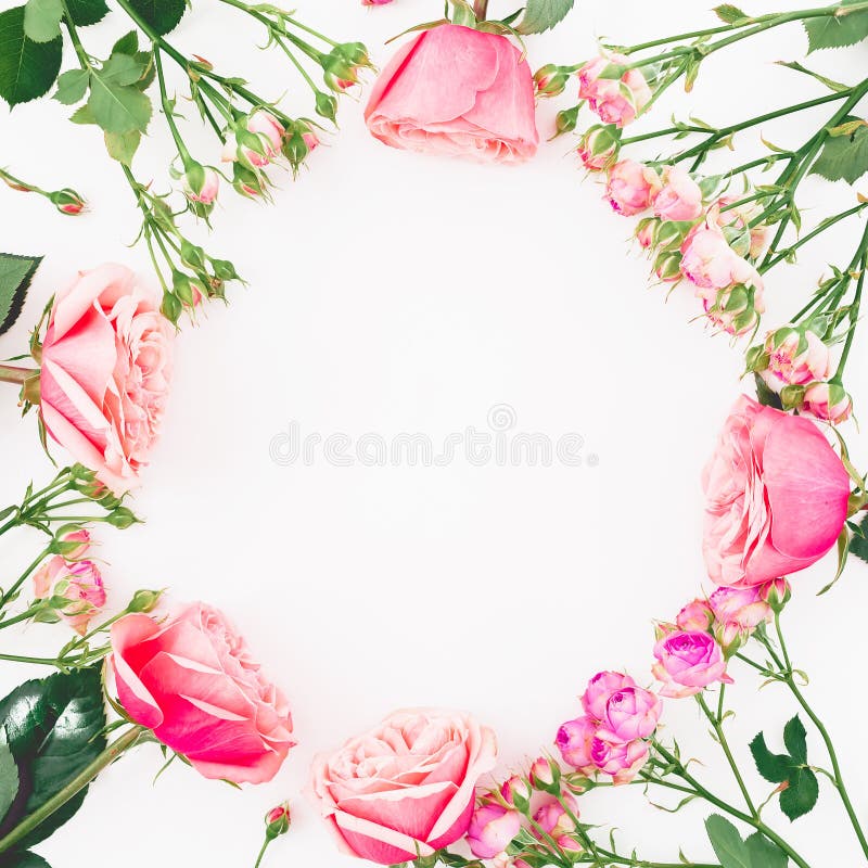 Colorful Floral Round Frame Stock Images - Download 1,614 Royalty Free ...
