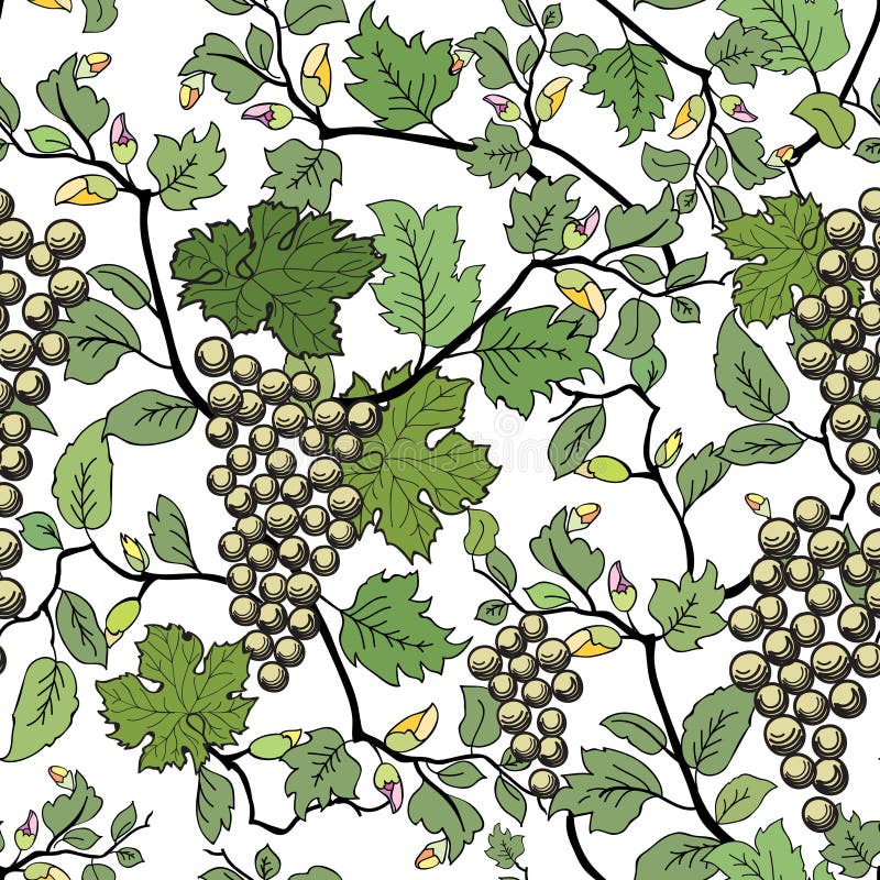Floral Seamless Background with Grape Branch. Decorative Flower Stock ...