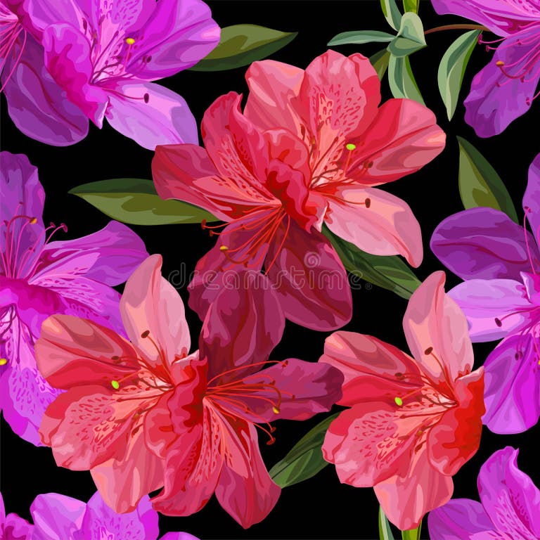 Azalea Vector Stock Illustrations – 2,294 Azalea Vector Stock ...